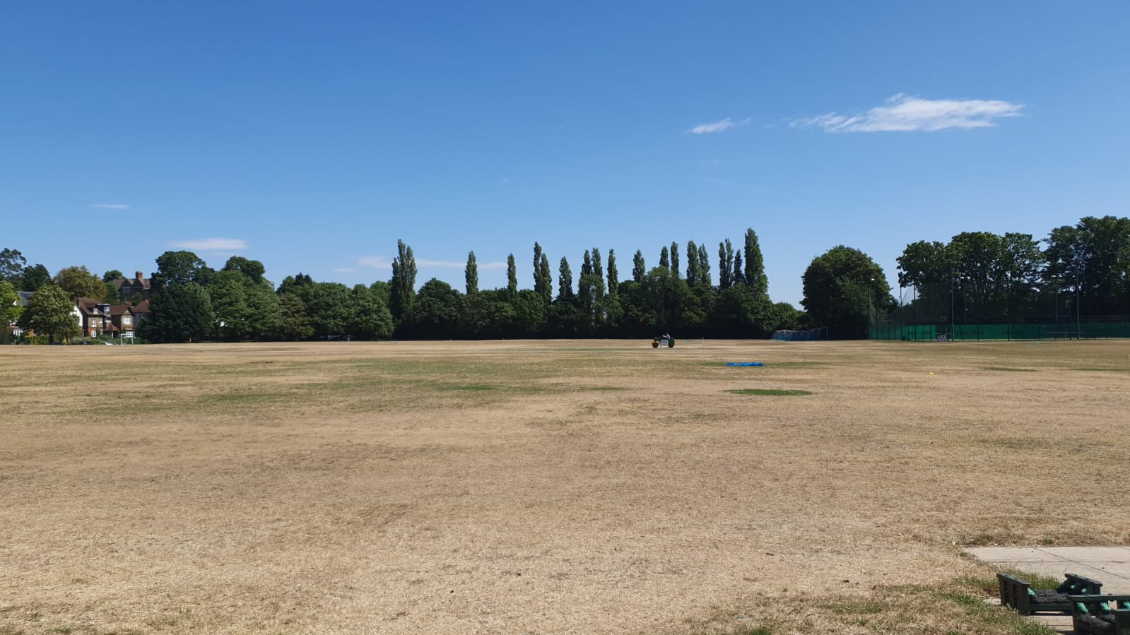 The Highgate Hustle | St Anne's Allstars